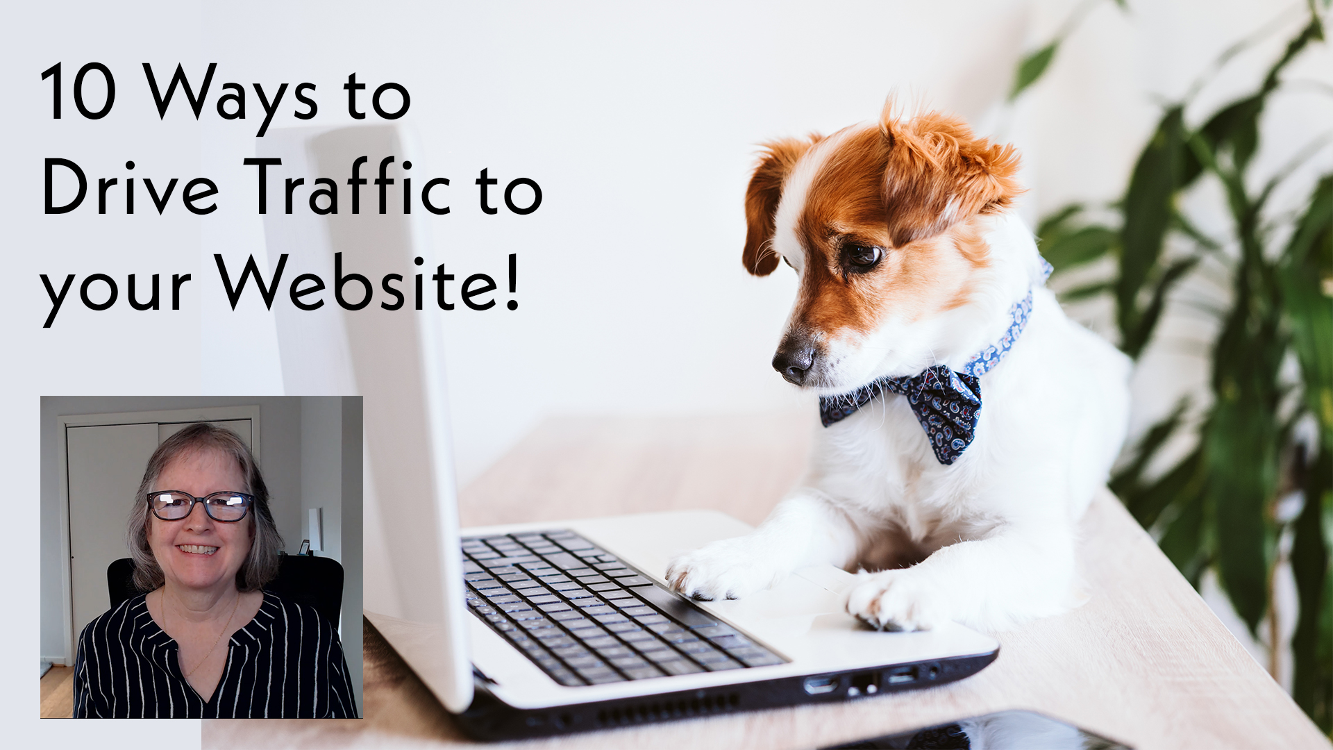 10 Ways to Drive Traffic to your Website | One Creative Developer